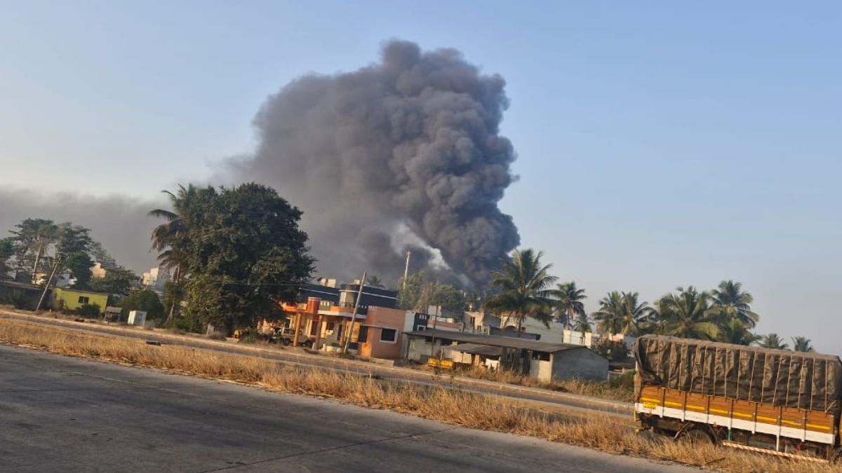 Sangli Fire: सांगलीच्या पेठनाकाजवळील कारखान्यात भीषण आग; कोट्यावधींचा ...