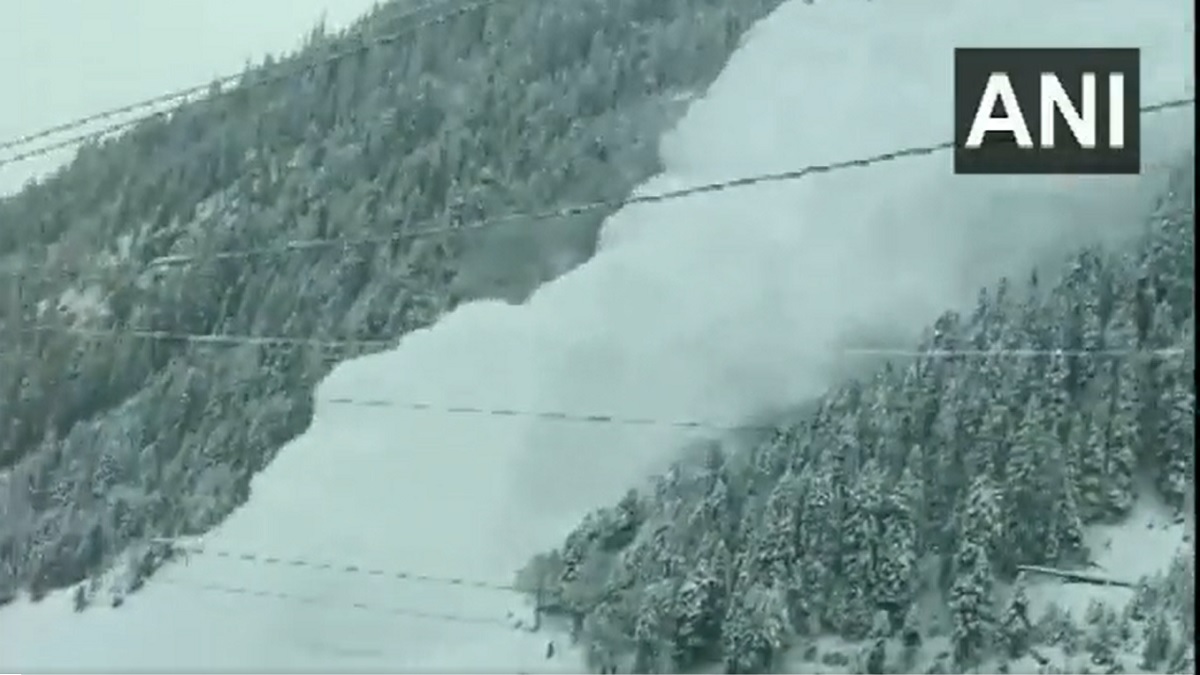 Avalanche Video: हिमस्खलन कसे होते? पाहा थरारक व्हिडिओ | 👍 LatestLY मराठी