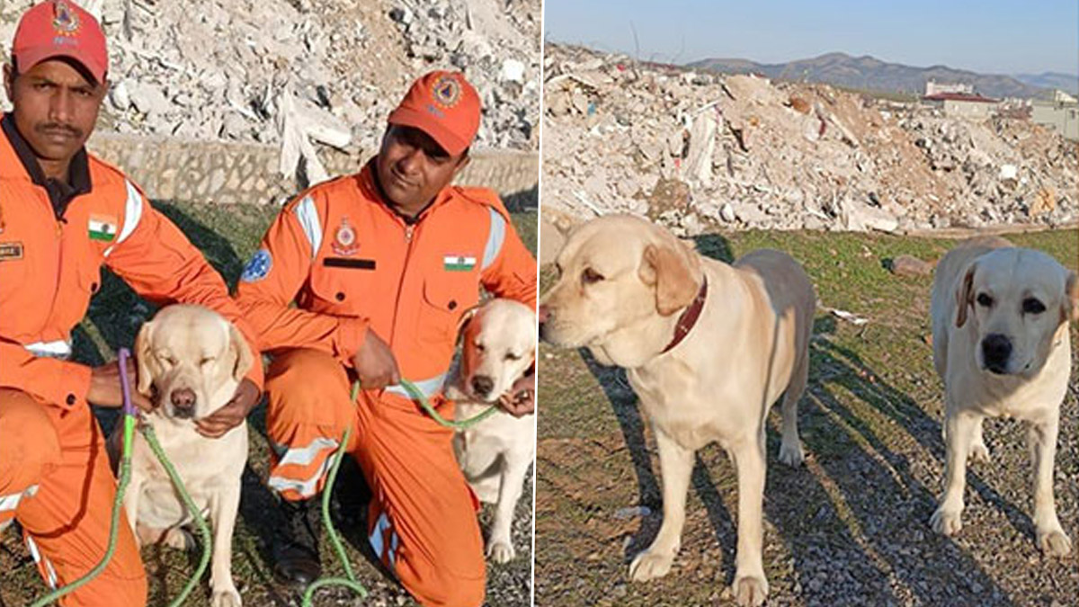 Operation Dosti: भारतीय NDRF च्या श्वानपथकातील Romeo आणि Julie ची ...