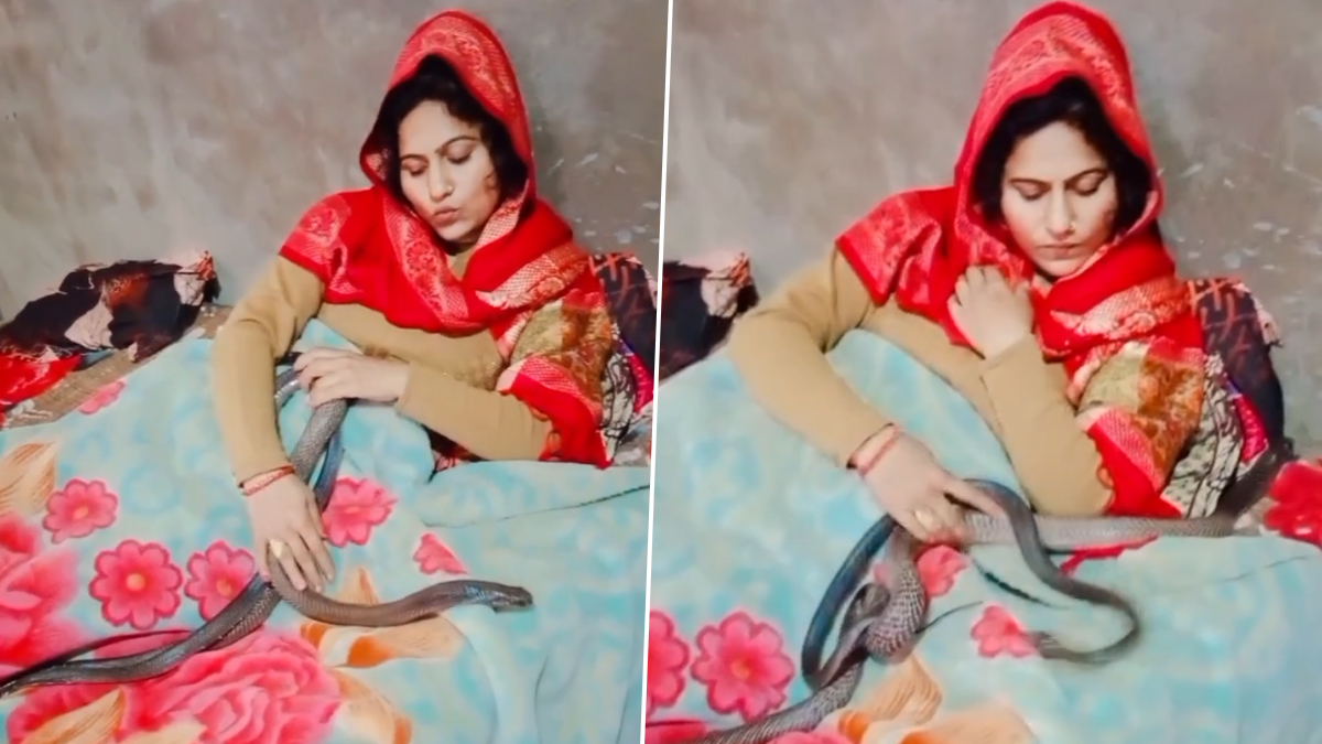 बापरे! महिलेचा सापांसोबतचा जीवघेणा स्टंटचा व्हिडीयो व्हायरल (Watch ...